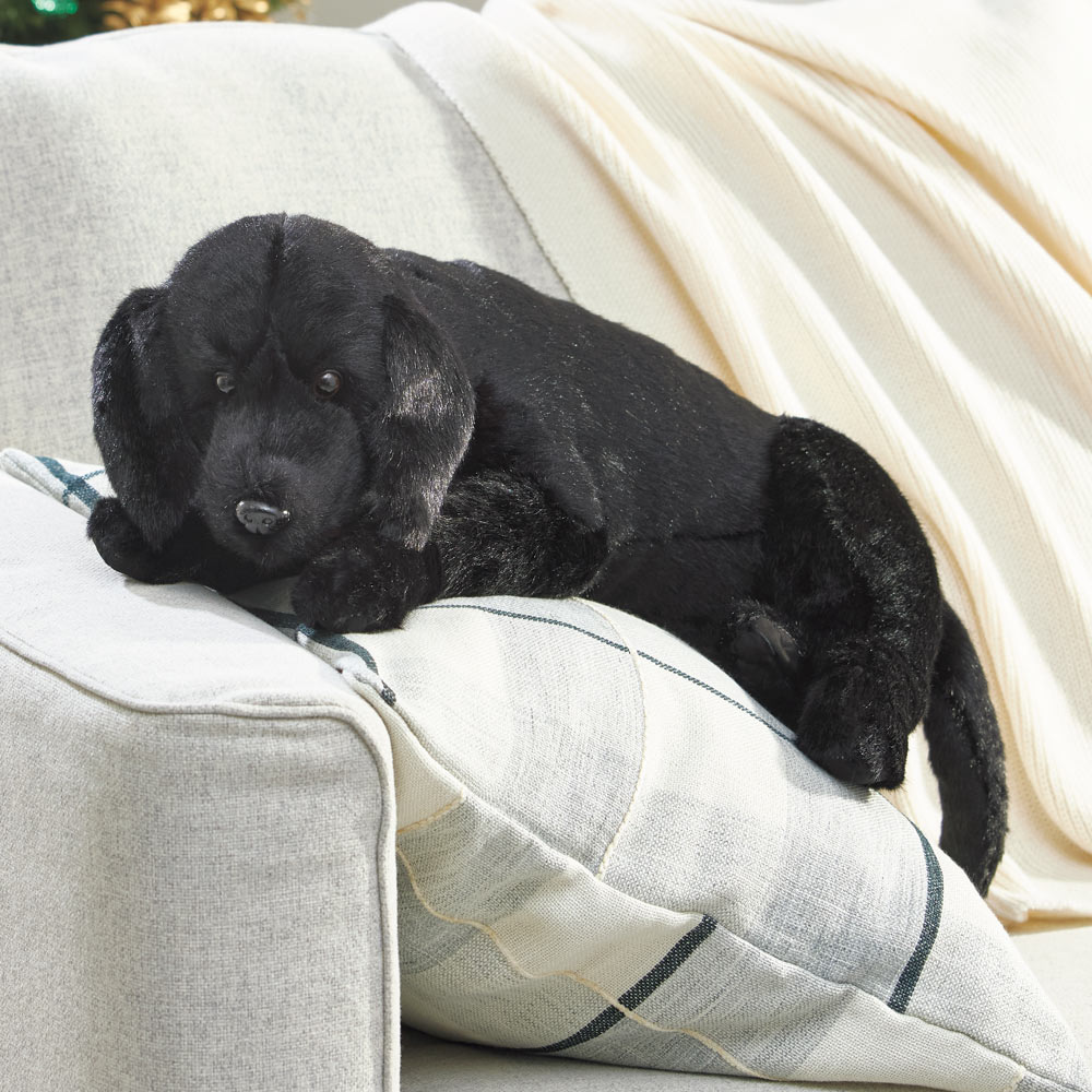 DITZ ラブラドール ディノスANAmall店