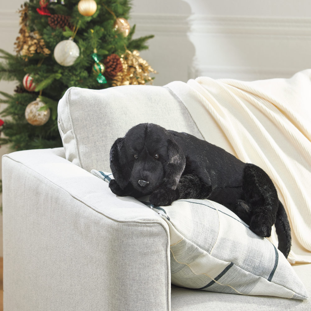 DITZ ラブラドール ディノスANAmall店